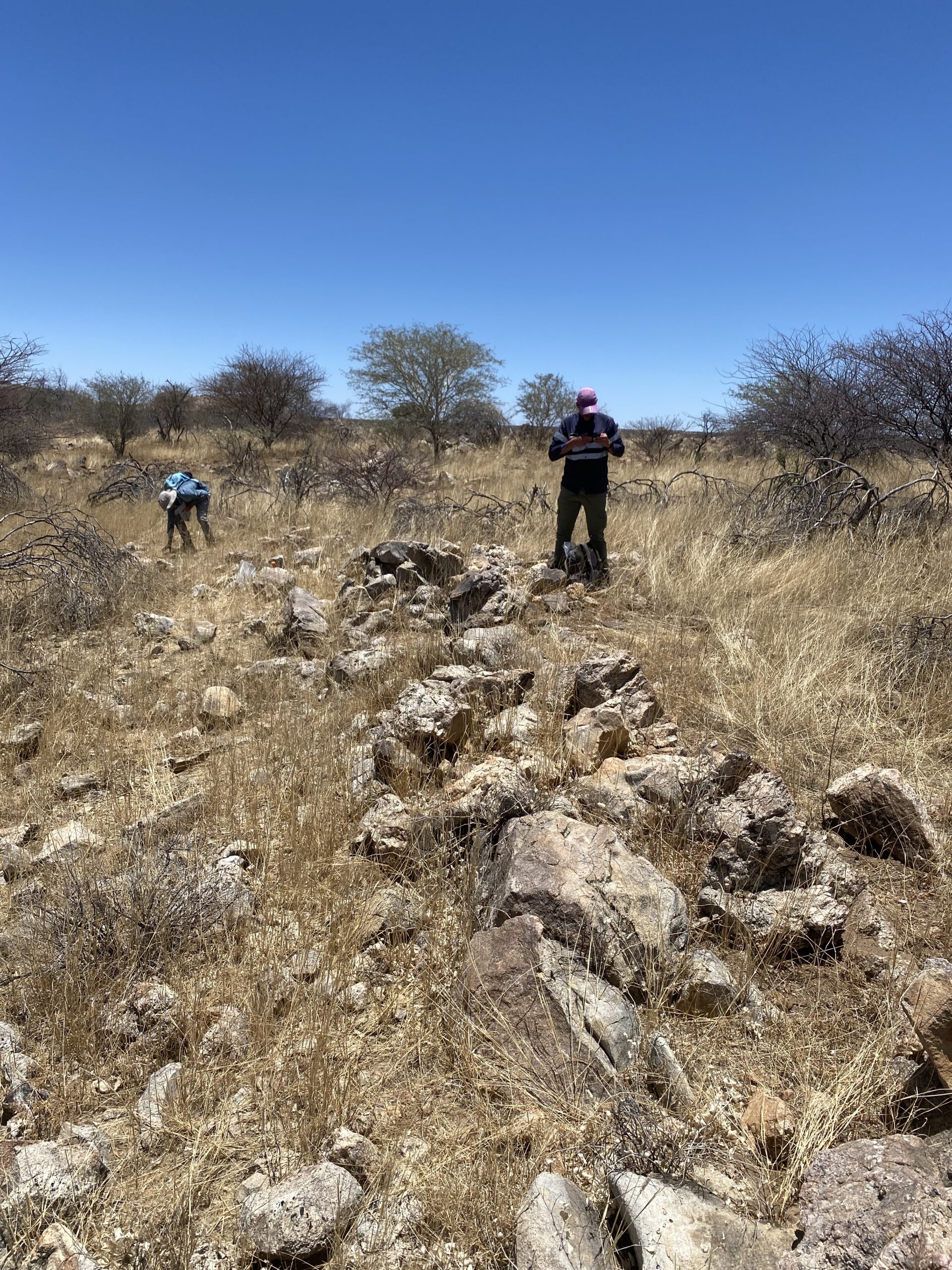 Omatjete Gold Project – Great Quest Gold Ltd.