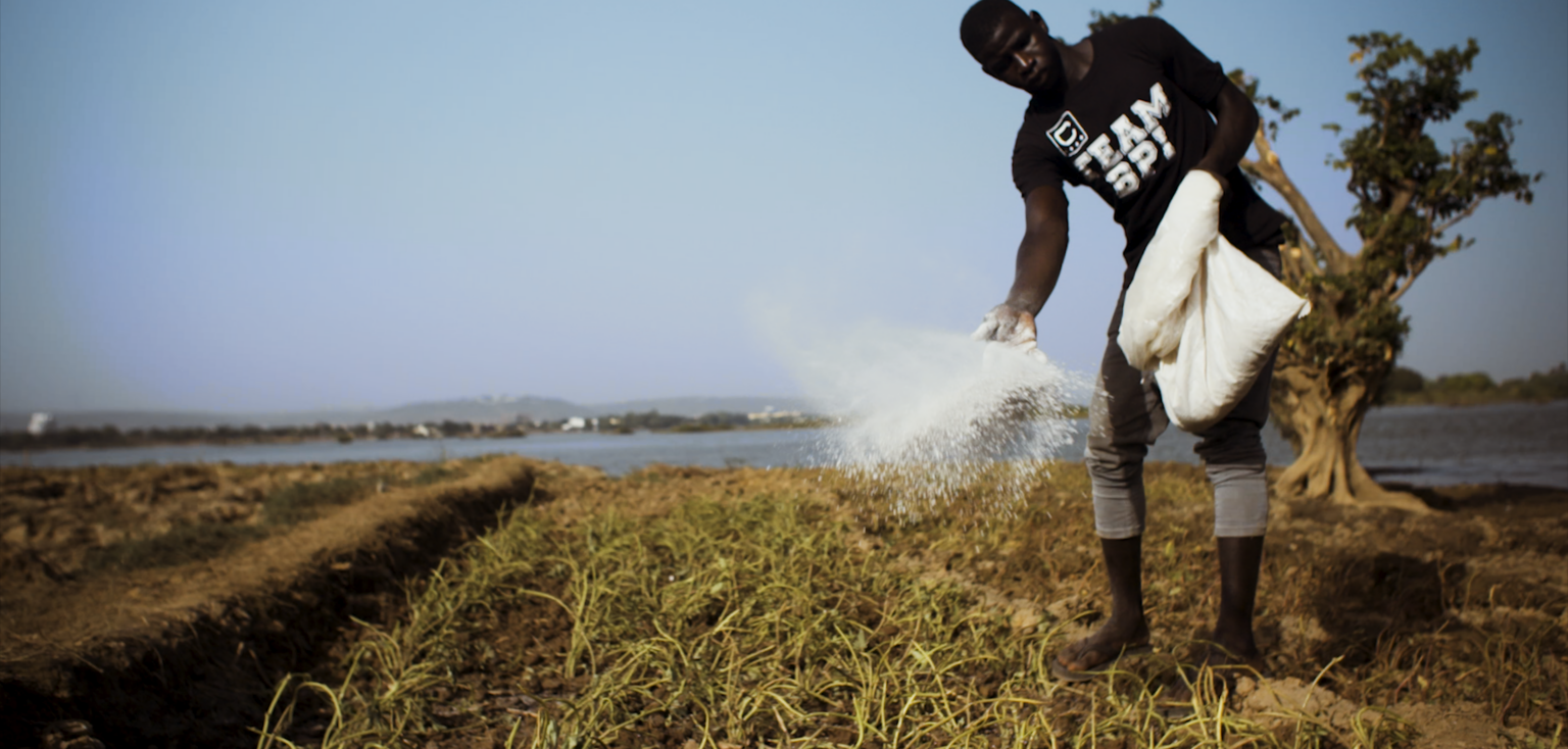 Tilemsi Phosphate Project – Great Quest Gold Ltd.